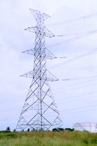 Powergrid International Limited